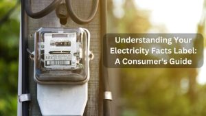 Understanding Your Electricity Facts Label: A Consumer's Guide